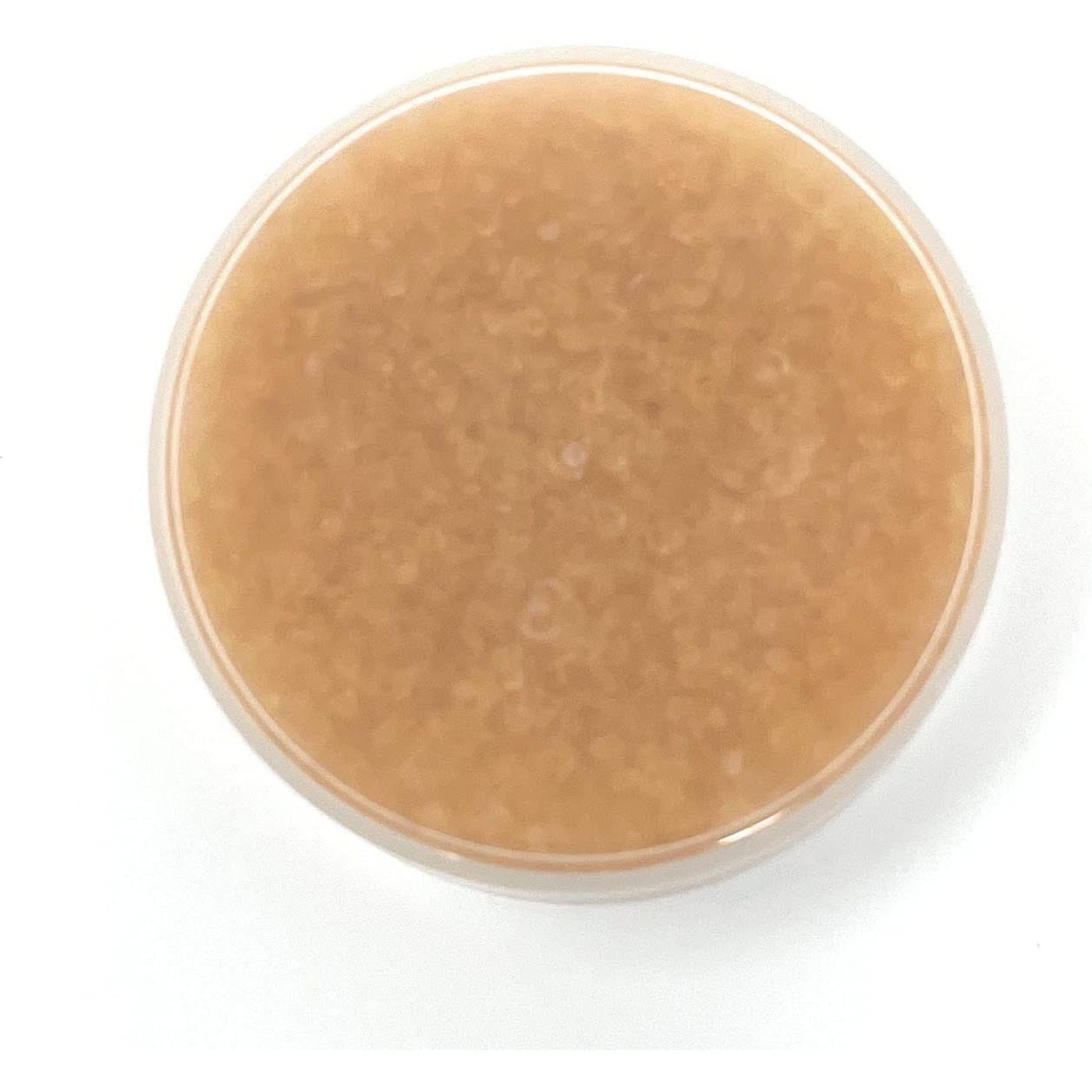 ADCO Drying Capsules (2/pk) — ADCO Hearing Products